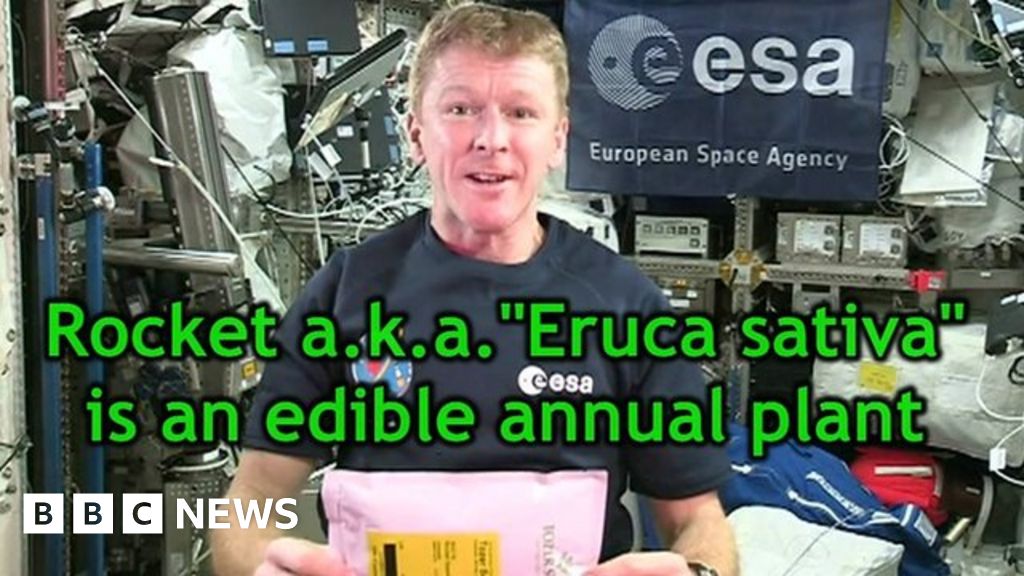 Tim Peake: How pupils can join my botany experiment - BBC News