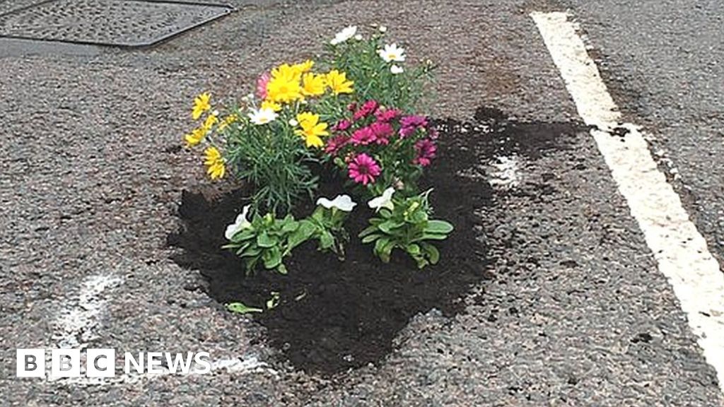 Bath's pothole flower filler warned to stop - BBC News