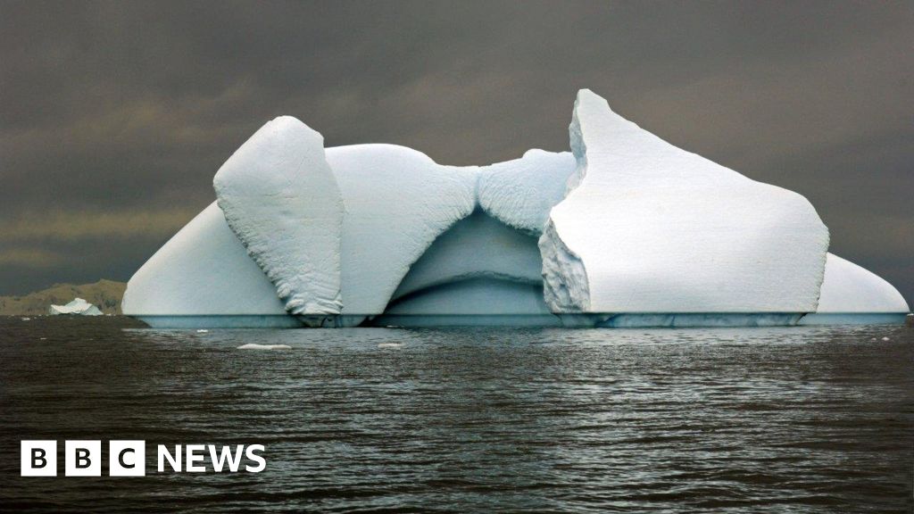 Giant icebergs play 'major role' in ocean carbon cycle - BBC News