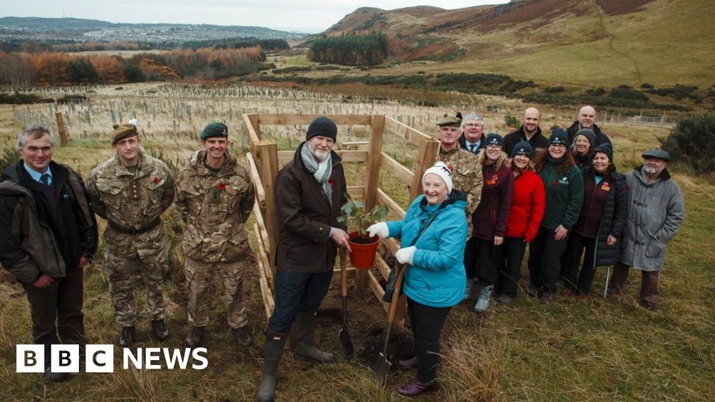 Final 'Tree from the Trenches' planted in Edinburgh memorial wood - BBC ...