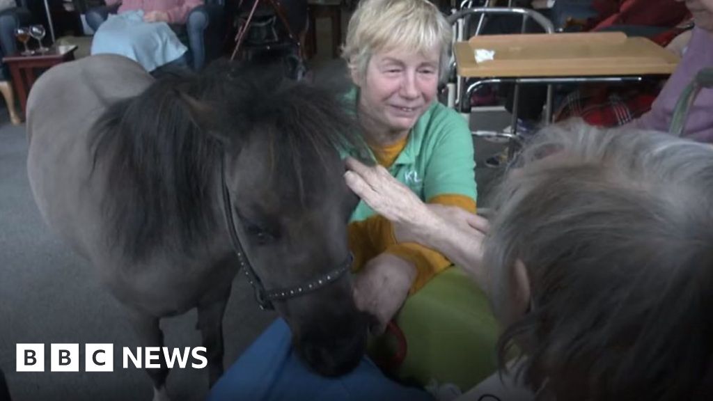 'Pony therapy' visits help care home residents with dementia
