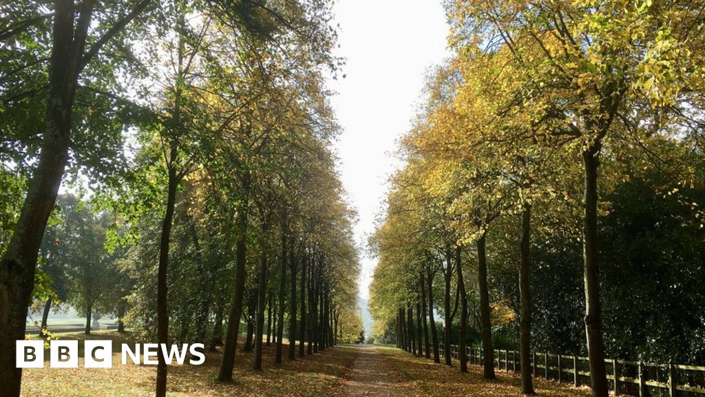 England's Big Picture: 15 - 21 October - BBC News