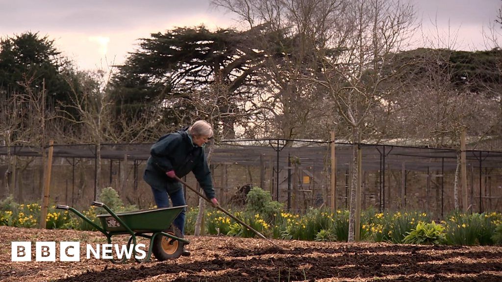 Chiswick House and Gardens unveils community plans - BBC News
