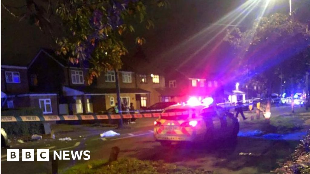Luton street fight: Two injured and five arrested