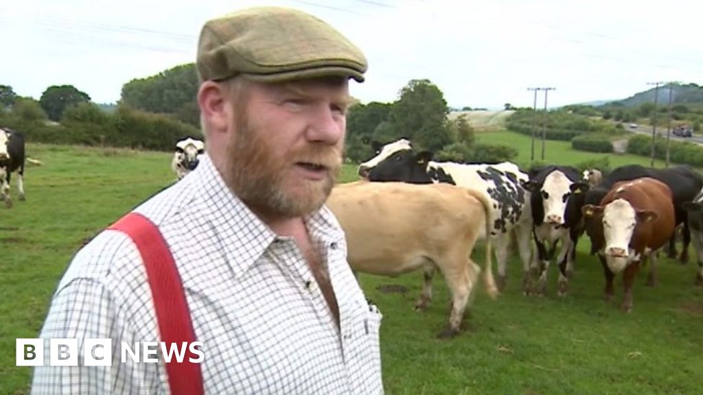 Rural crime increases by 20% in six months