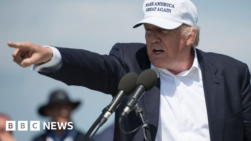 Why Brexit makes Donald Trump so happy - BBC News