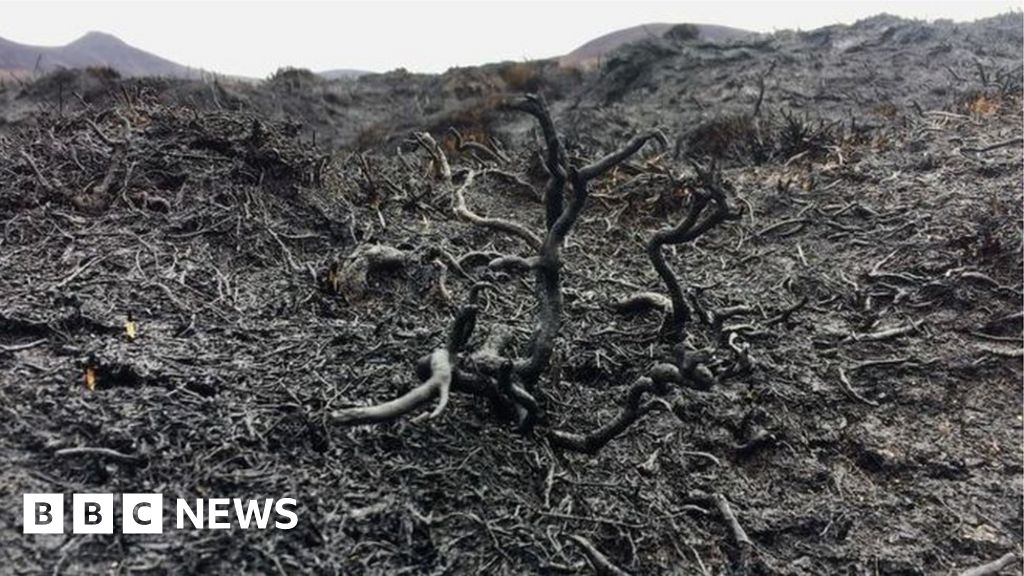 Northern Ireland wildfire warnings issued as hot weather continues