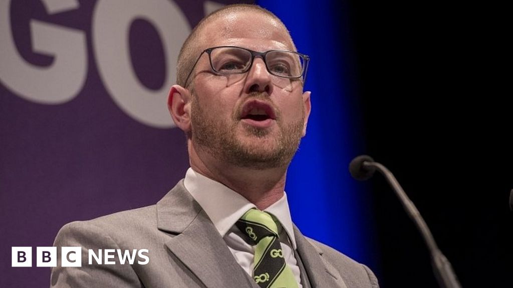 UKIP chair to step down after leadership vote - BBC News