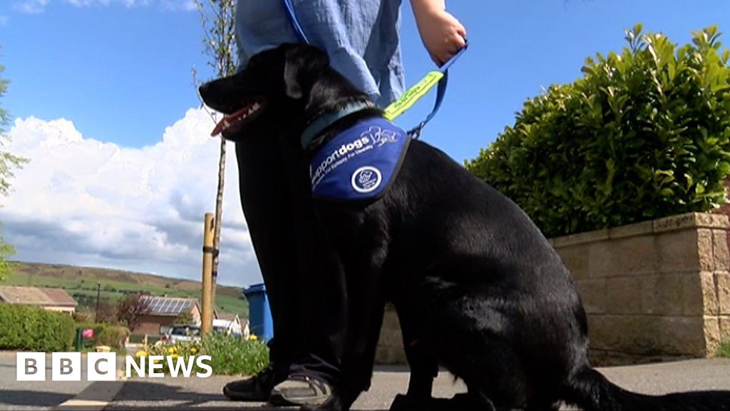 Sheffield support dog charity praises volunteers - BBC News