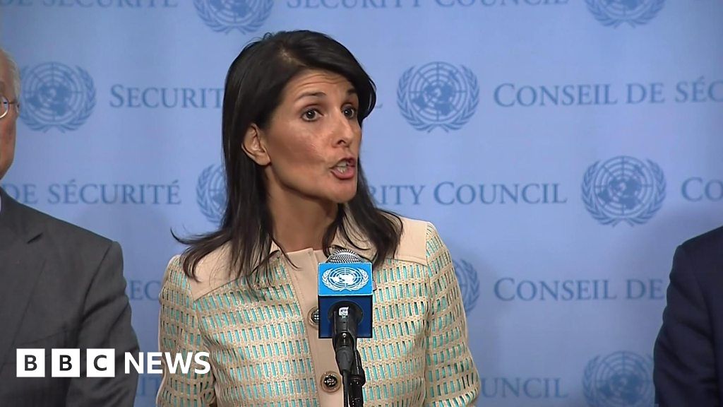 'You either support North Korea or you support us' - US ambassador ...