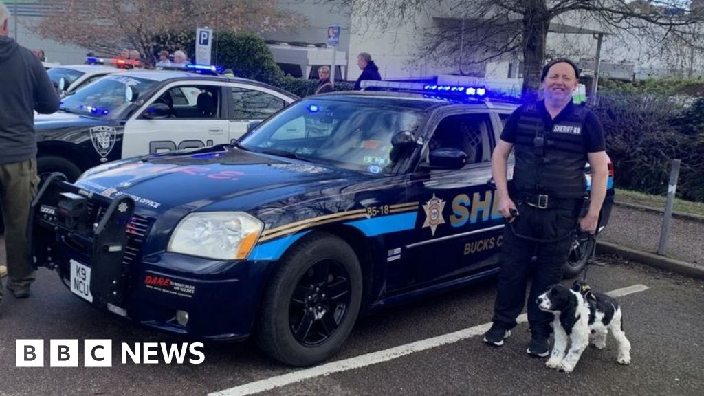 Vintage police cars pull crowds at Coleford Carnival of Transport - BBC ...