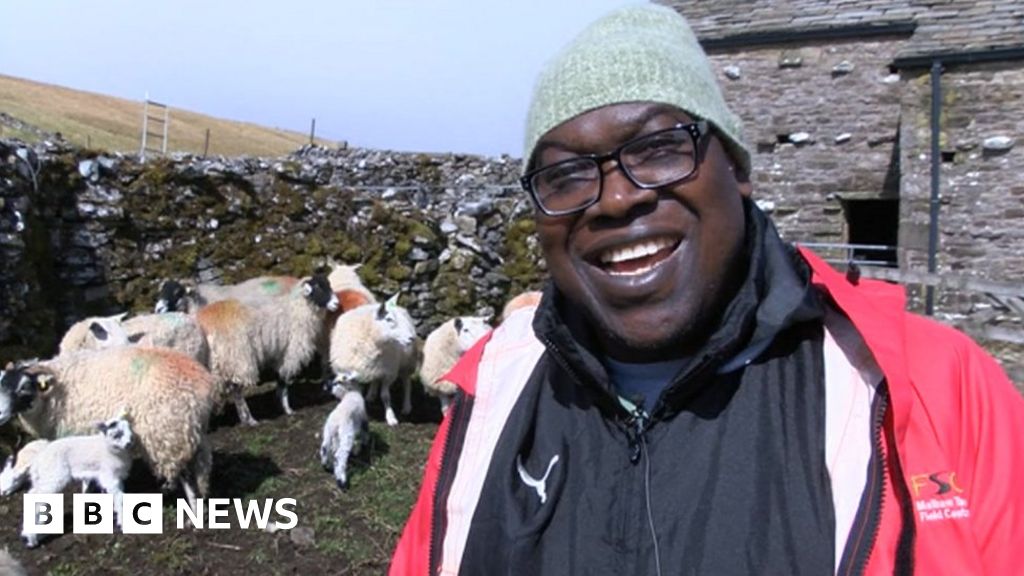 The Yorkshire Dales farmer helping asylum seekers - BBC News