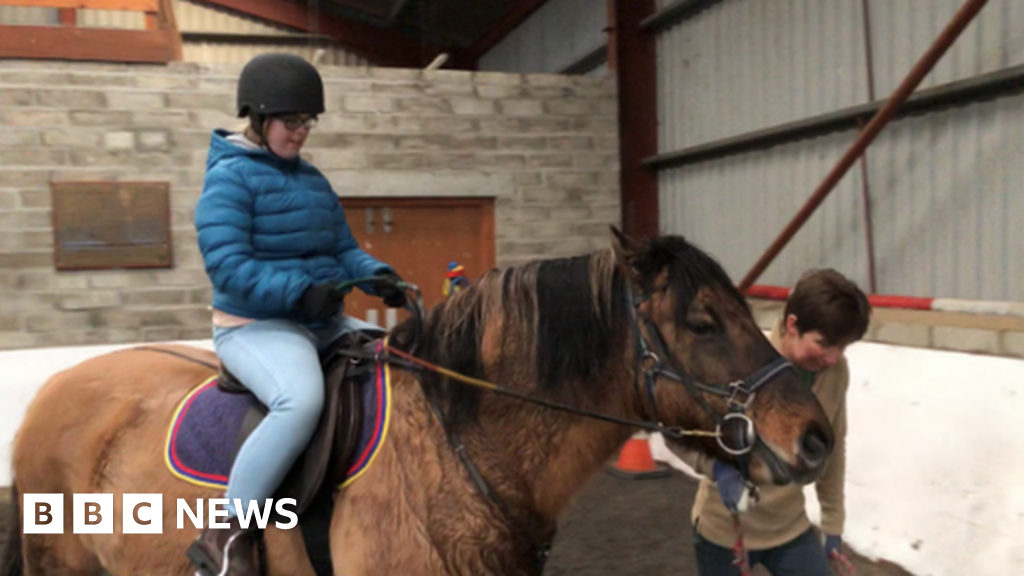 Aberdeenshire riding school for the disabled at risk
