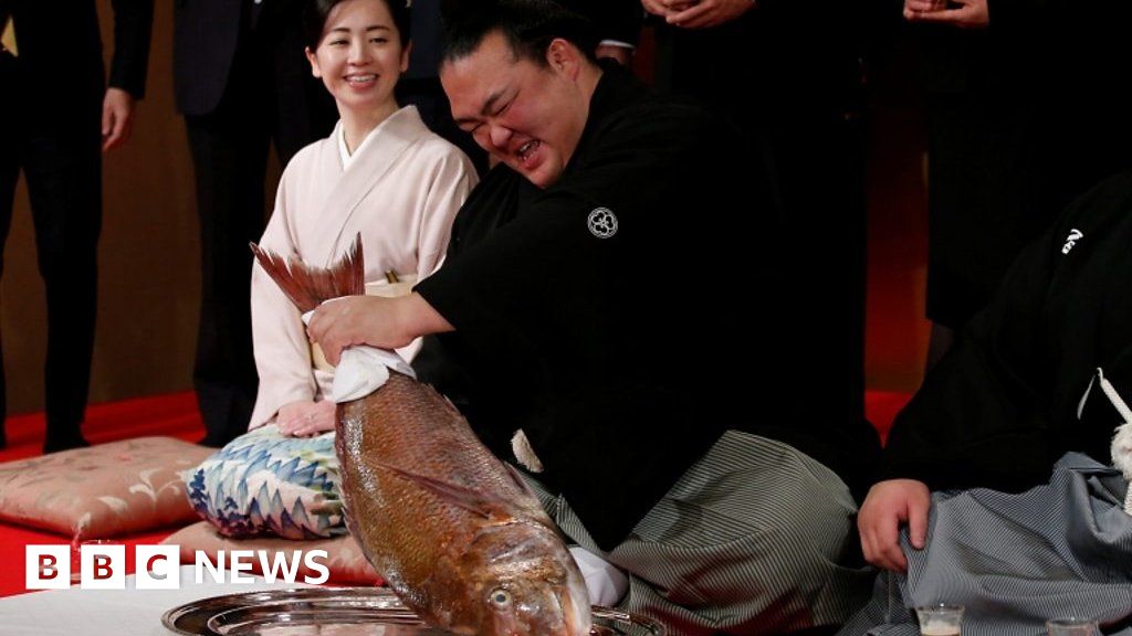 Japan gets first sumo champion in 19 years - BBC News