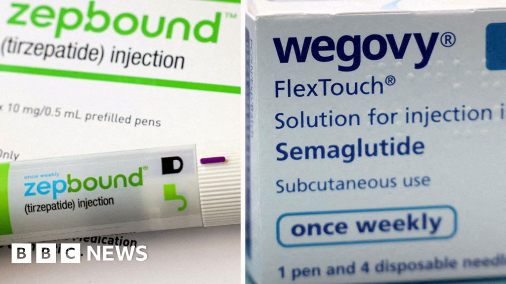 Rare Fossil Reveals Why Flightless Birds Spread Globally - NewsyList