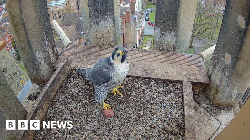 Peter and Peggy are back, say Worcester Cathedral bosses