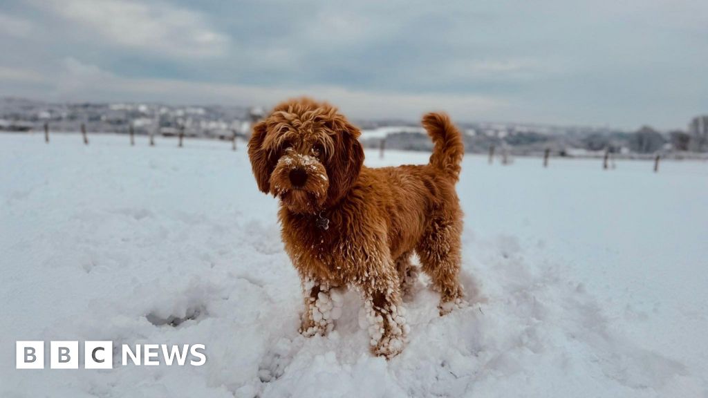 Wales snow in pictures: Frosty scenes as winter emerges