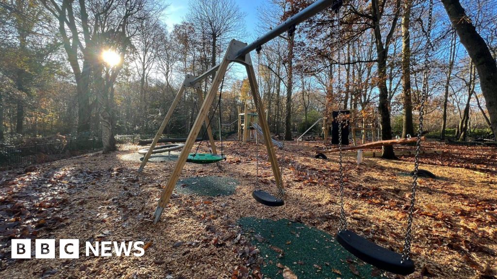 Colchester City Council to review 'inaccessible' woodland playground - BBC News