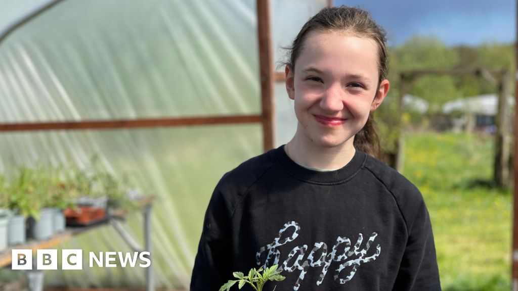 The Holt Heath farm giving young people a second chance