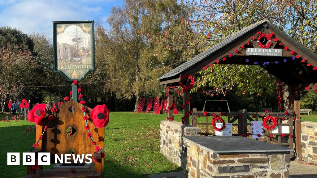 Devon village marks Remembrance Day with knitted poppies - BBC News