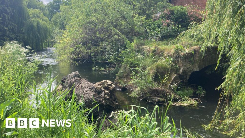 Adcote pupils call for bridge and path to Baschurch to be restored