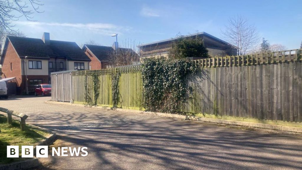 Man taken to hospital after Cambridge bulldog attack