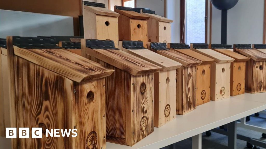 HMP Chelmsford inmates get creative to boost bird numbers - BBC News