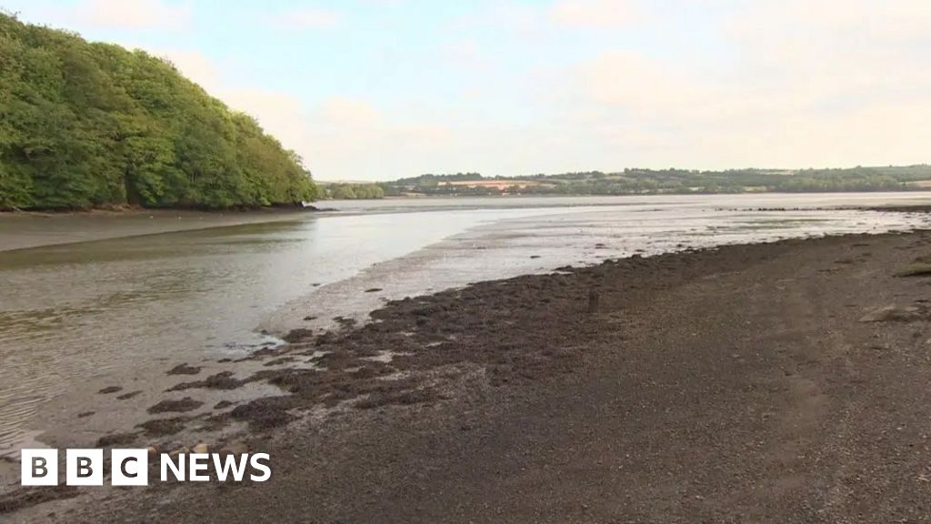 Devon girl, 11, who died at Cornwall beauty spot is named