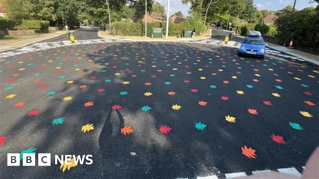 Finchampstead pedestrian crossing: More than 1,400 oppose design - BBC News