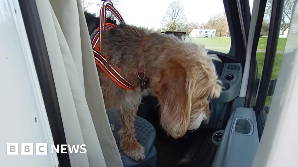 Dog locks owners out of motorhome in Castle Douglas - BBC News