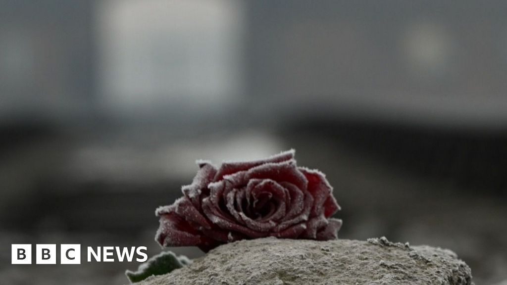 "It's an example of what hatred and prejudice can lead to" - BBC News