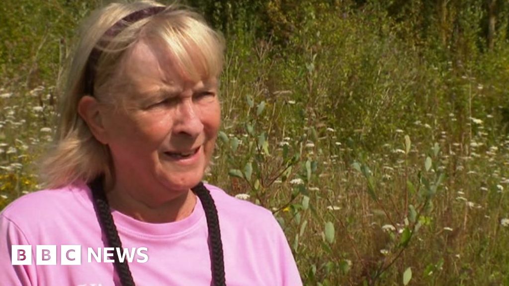 Nature benefitting from Worcestershire golf course transformation - BBC ...