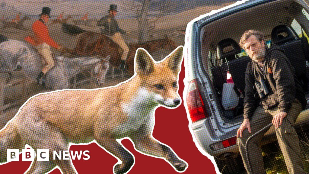 Watch a hunt saboteur explain how he disrupts trail fox hunts - BBC News
