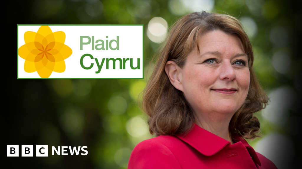Plaid Cymru leader Leanne Wood's call to 'reclaim politics' - BBC News