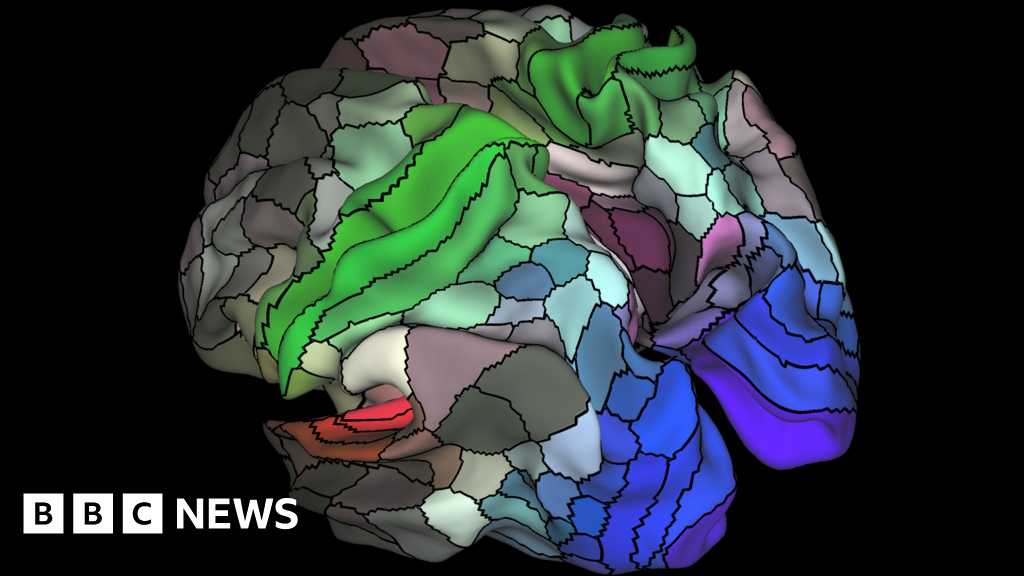 Brain map carves cortex into twice as many areas - BBC News