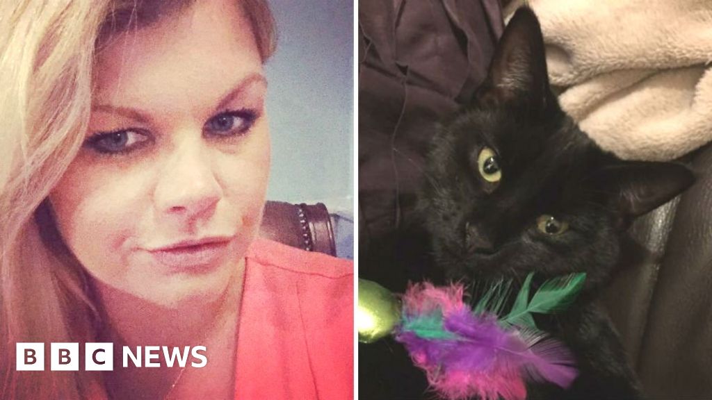 'Amazing' support for Gemma Conway's cat crash petition - BBC News