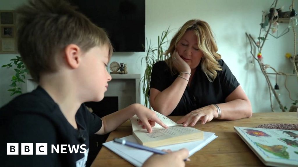 School places: Portchester child missing lessons over lack of places ...