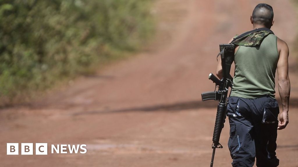 Colombia's Farc rebels have handed over 30% of weapons - BBC News