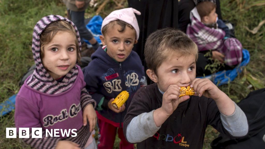 Migrant crisis: 'Extraordinary' support for charities - BBC News
