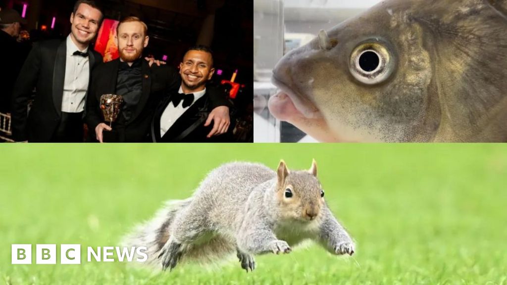 East of England news quiz of the week February 15-21