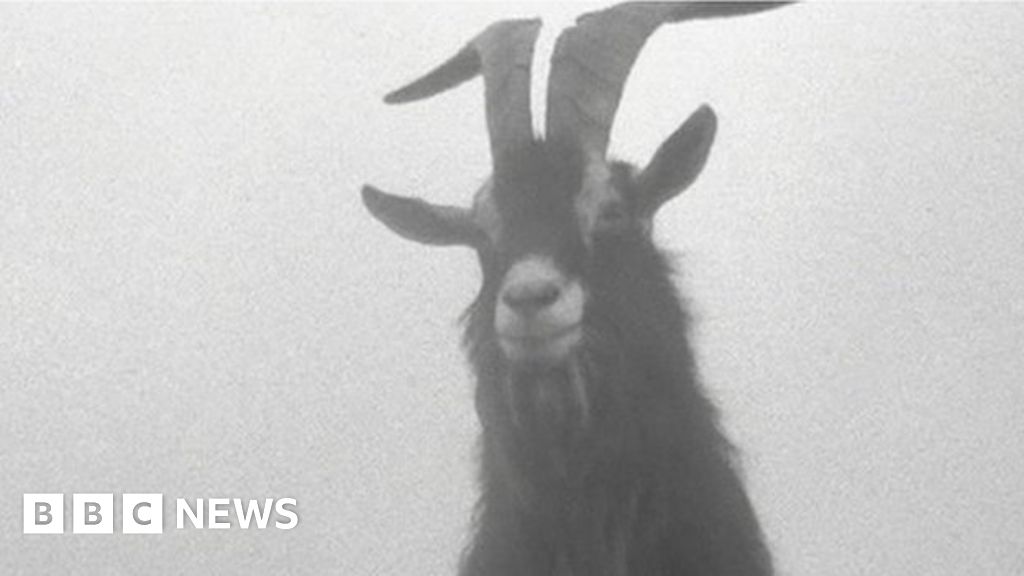 Puck Fair festival asked to leave goat out of it - BBC News