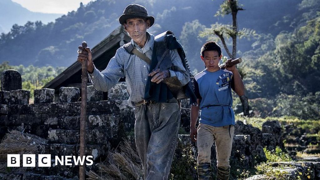 The Indian tribe that gave up hunting to save forests
