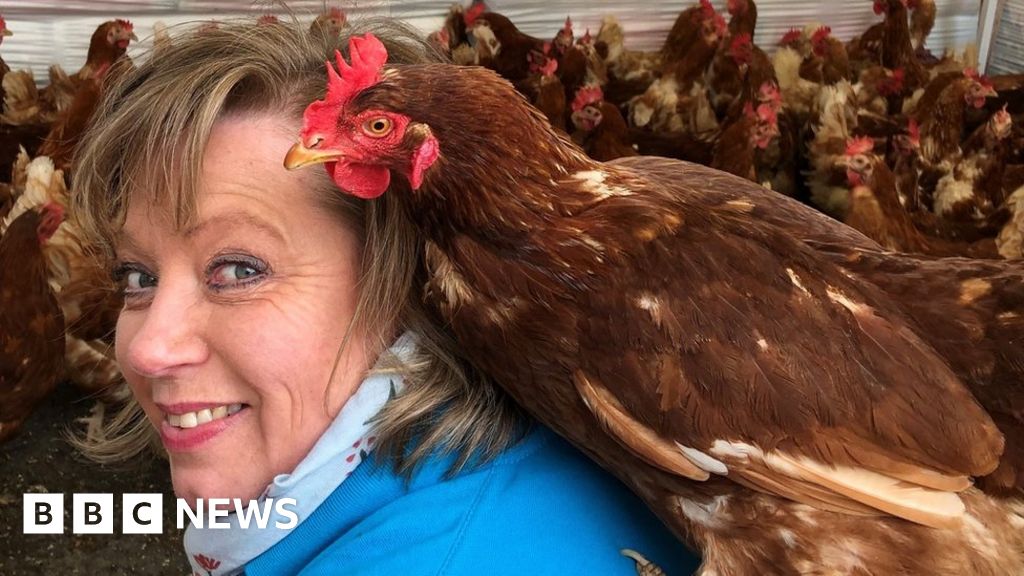 Bird flu: Poultry owners in East preparing for 'flockdown'