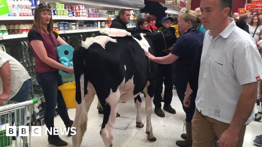 Cows taken to Asda in Stafford for milk price protest - BBC News