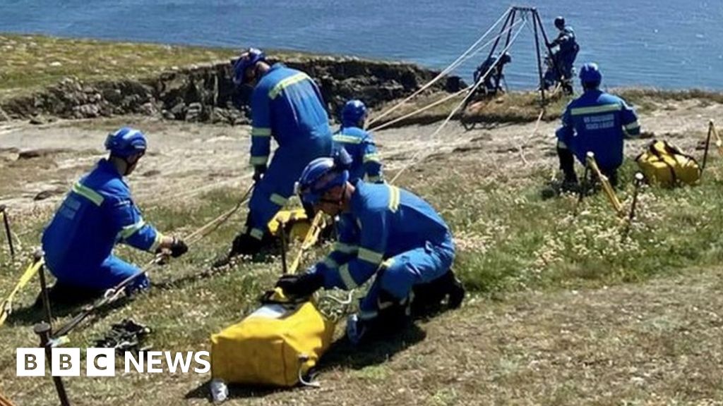 Man and dog saved in Trevose Head cliff rescue - BBC News