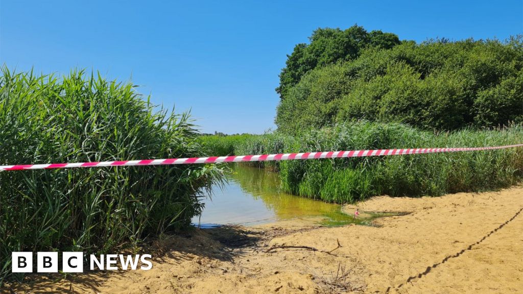 Frensham: Public warned of blue-green algae danger in pond - BBC News