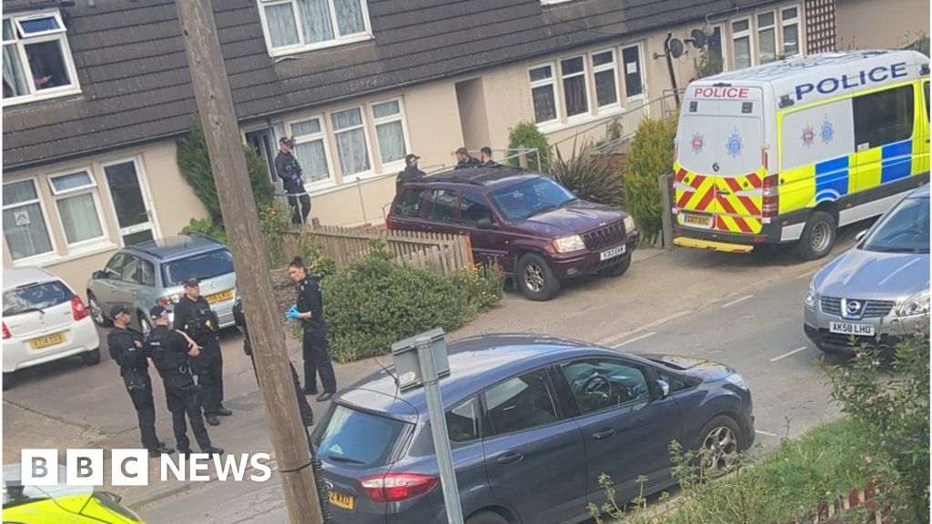 Crawley: Guns found during raid on house - BBC News