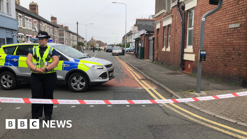 Two Penarth arrests after armed police called to reports of a shooting ...