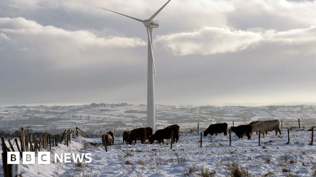 Climate bill will be ruination of NI agriculture, says UFU