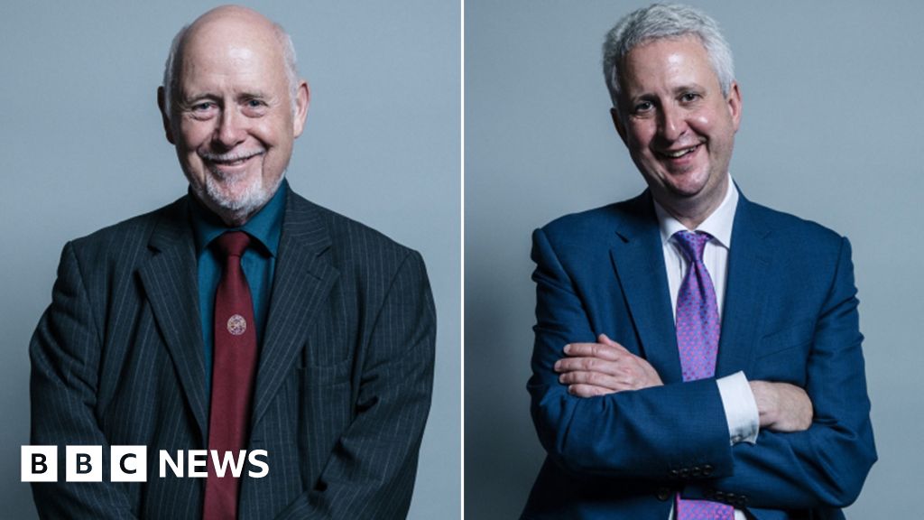 Labour steps up harassment investigation into MPs Lewis and Hopkins